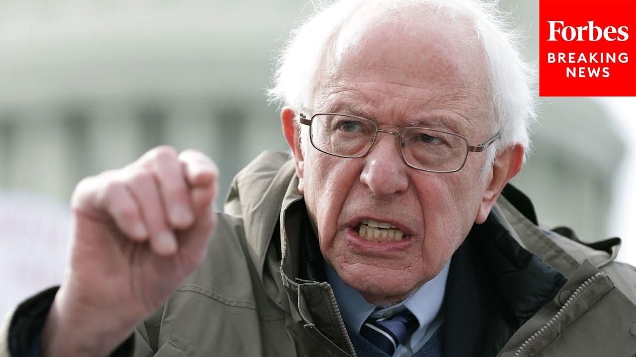 Senate Hearing Turns Testy as Sanders Stops MMA Fight Senate Hearing Turns Testy as Sanders Stops MMA Fight