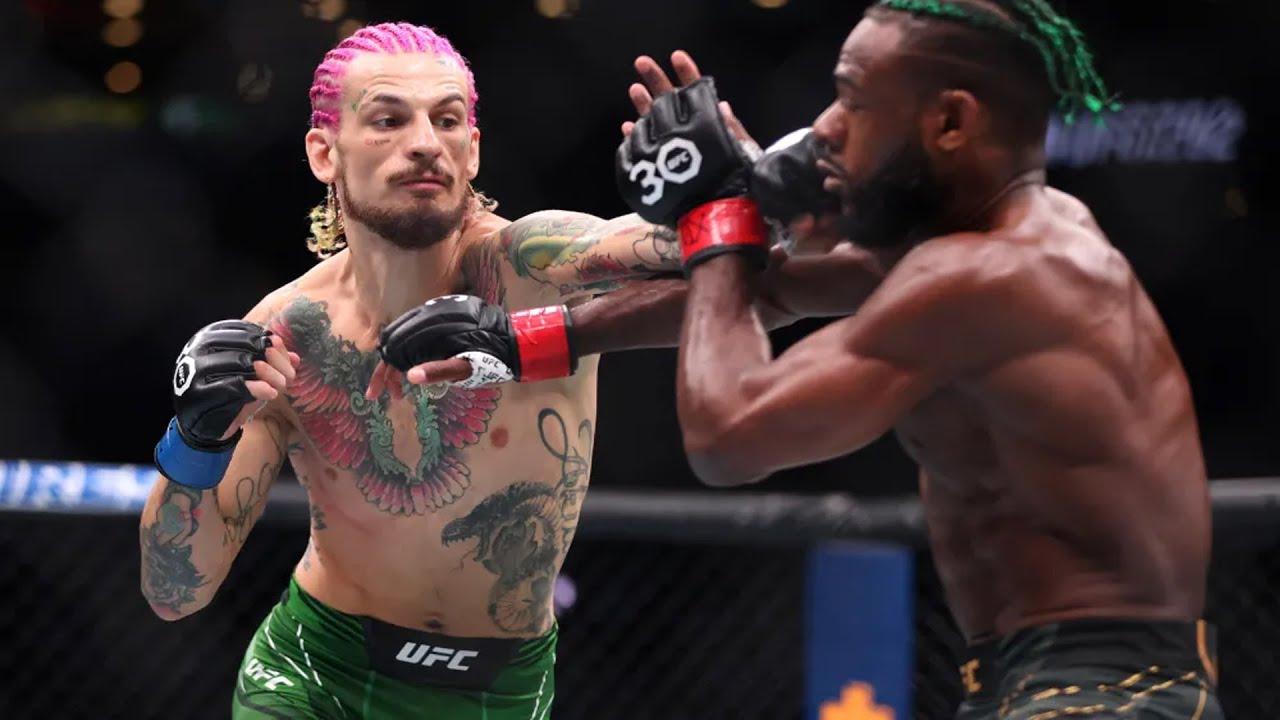 The Top 5 MMA Fighters Who Dominated 2023