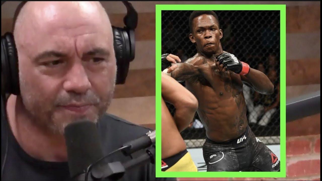 Joe Rogan's Vision for the Future of MMA